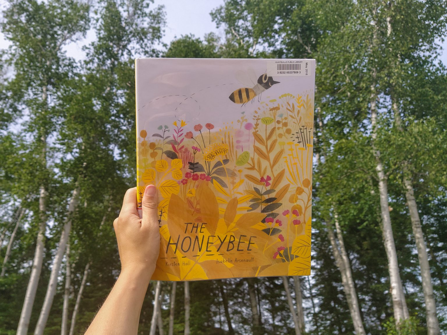 21 Amazing Summer Picture Books for Kids to Promote Bonding - Kindling Wild