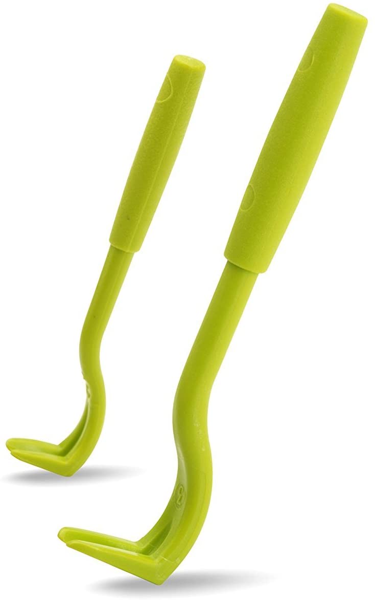 Outdoor Safety Rules for Kids to Review Today - Kindling Wild