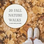 20 Easy and Spontaneous Fall Nature Walk Ideas - Kindling Wild