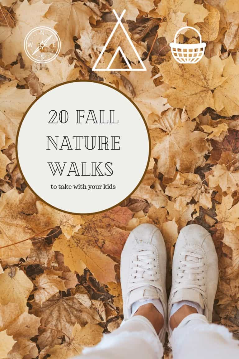 20 Simple and Creative Fall Nature Walk Ideas - Kindling Wild