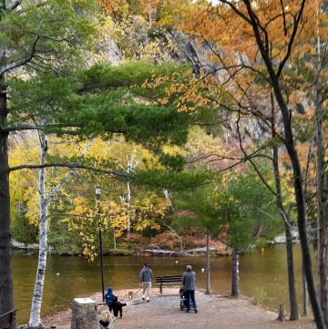 20 Simple and Creative Fall Nature Walk Ideas - Kindling Wild