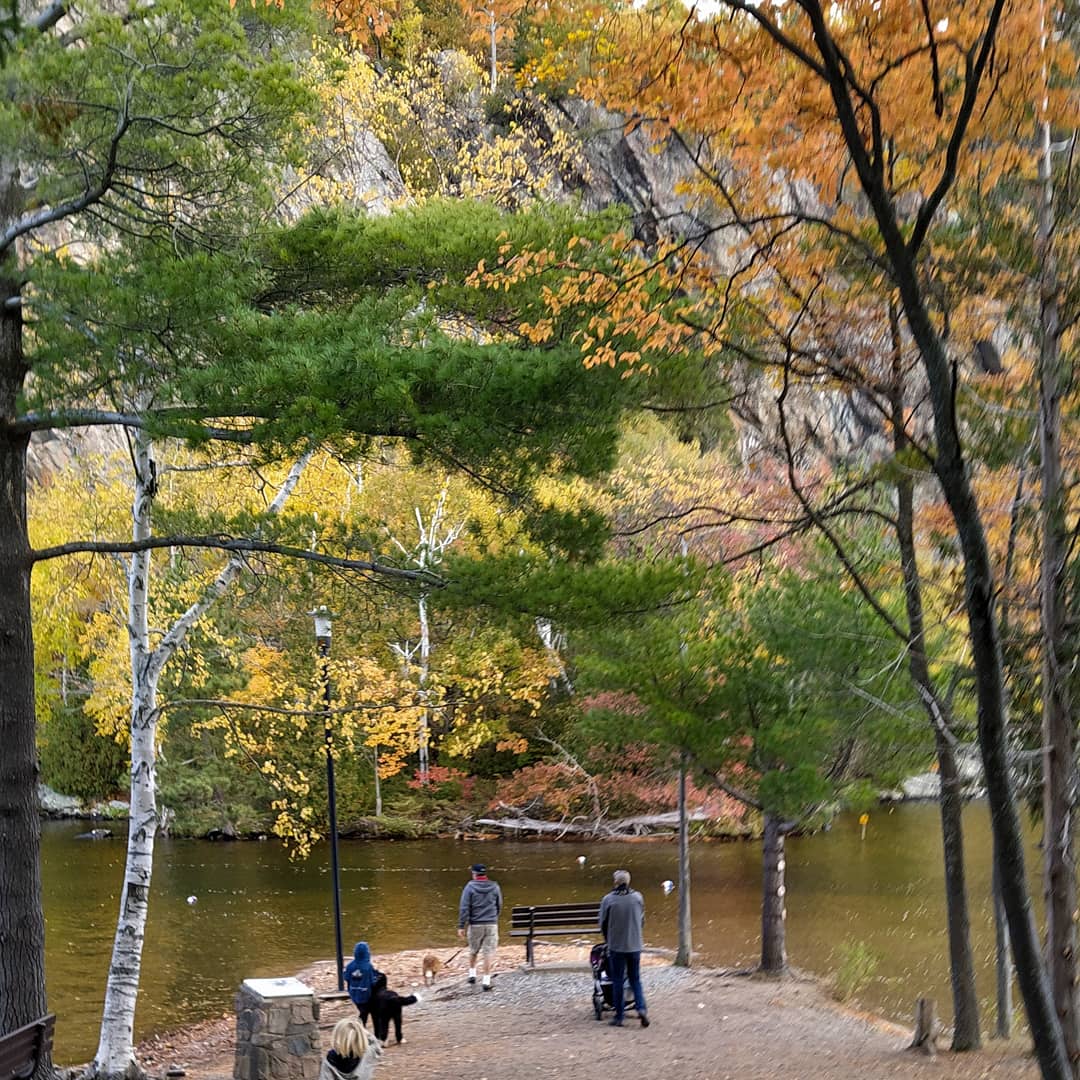 20 Simple and Creative Fall Nature Walk Ideas - Kindling Wild