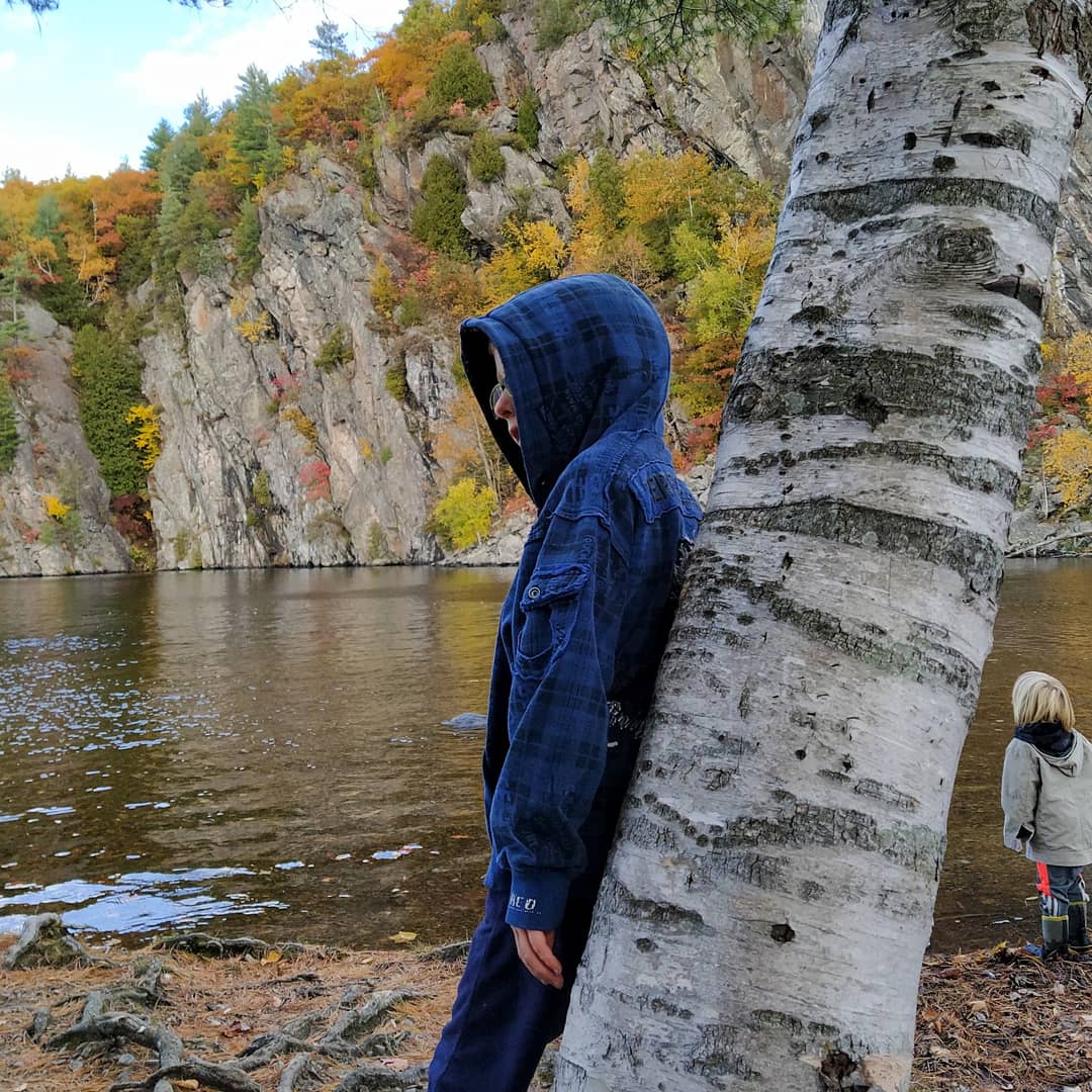 20 Simple and Creative Fall Nature Walk Ideas - Kindling Wild