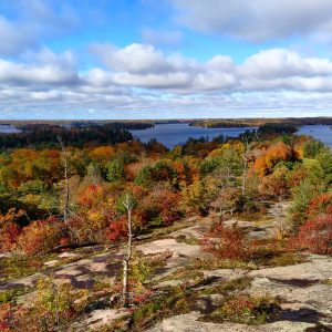 20 Simple and Creative Fall Nature Walk Ideas - Kindling Wild
