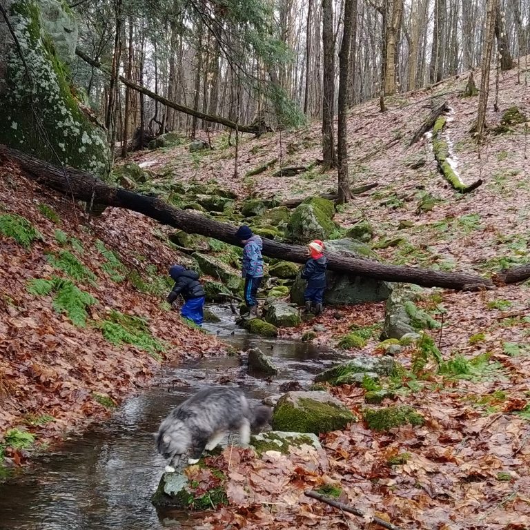 20 Simple and Creative Fall Nature Walk Ideas - Kindling Wild