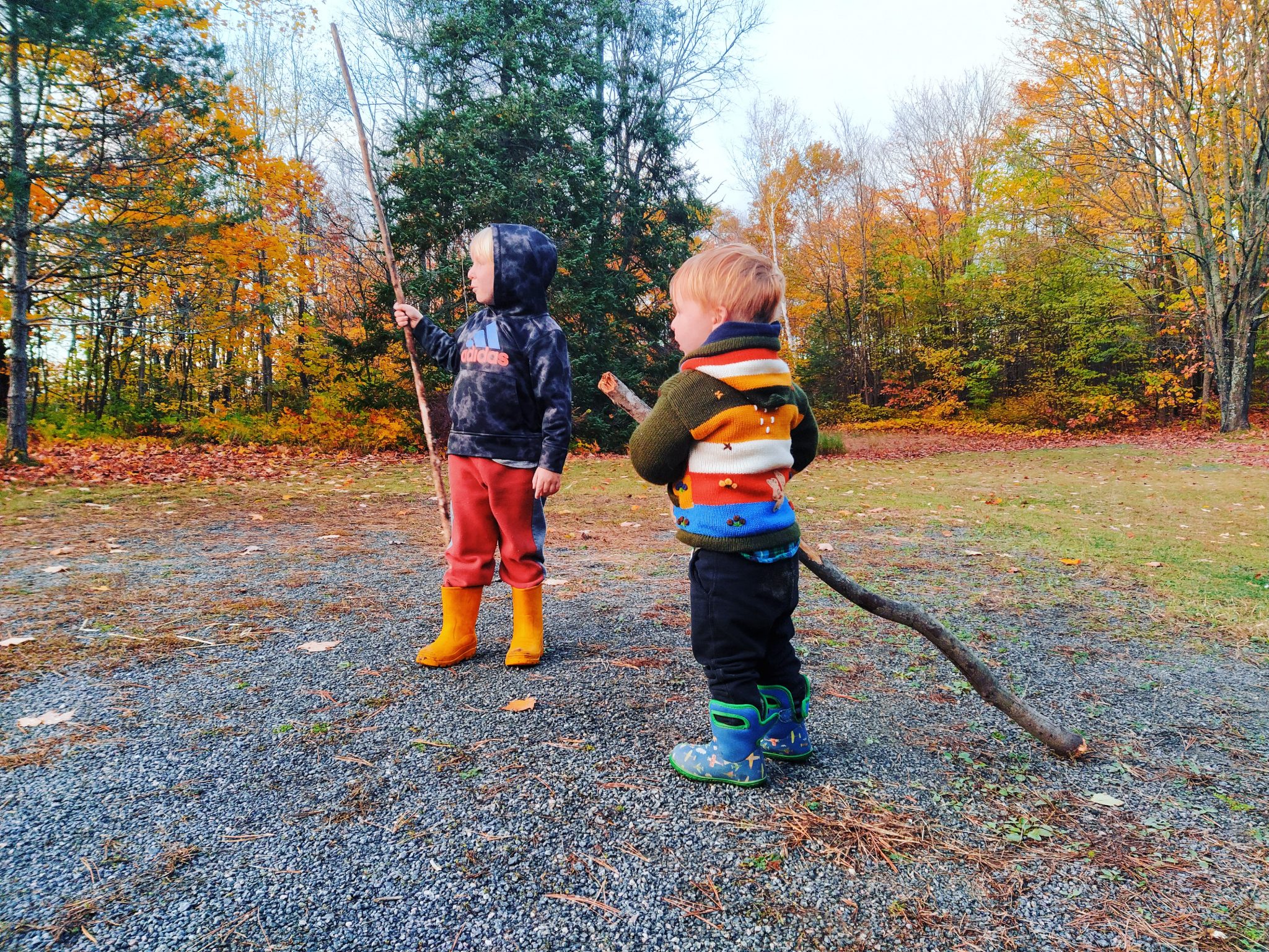 20 Simple and Creative Fall Nature Walk Ideas - Kindling Wild