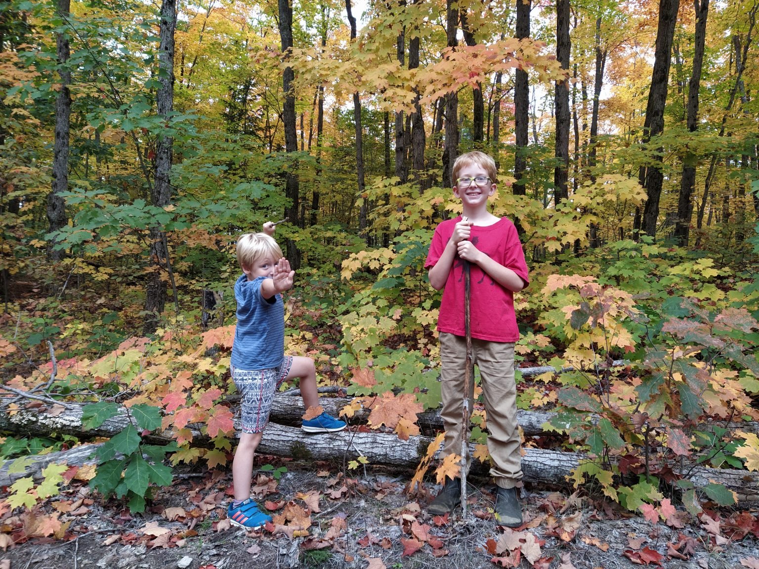 20 Simple and Creative Fall Nature Walk Ideas - Kindling Wild