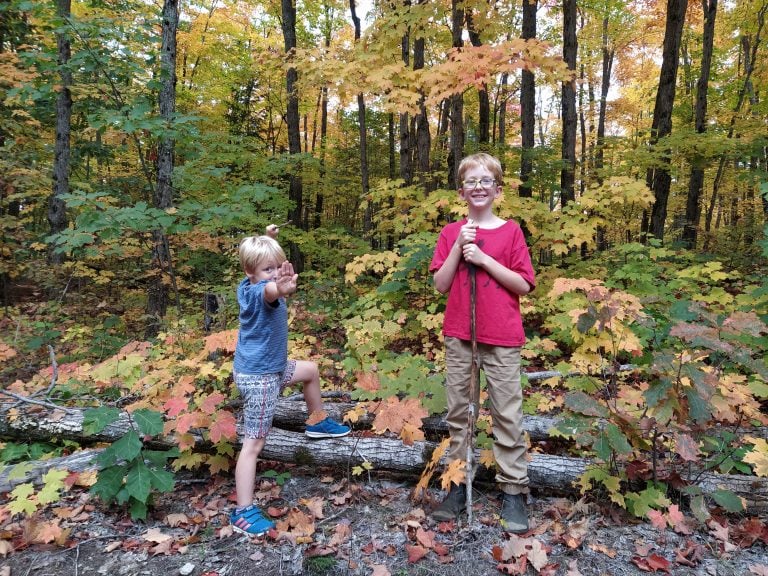 20 Simple and Creative Fall Nature Walk Ideas - Kindling Wild