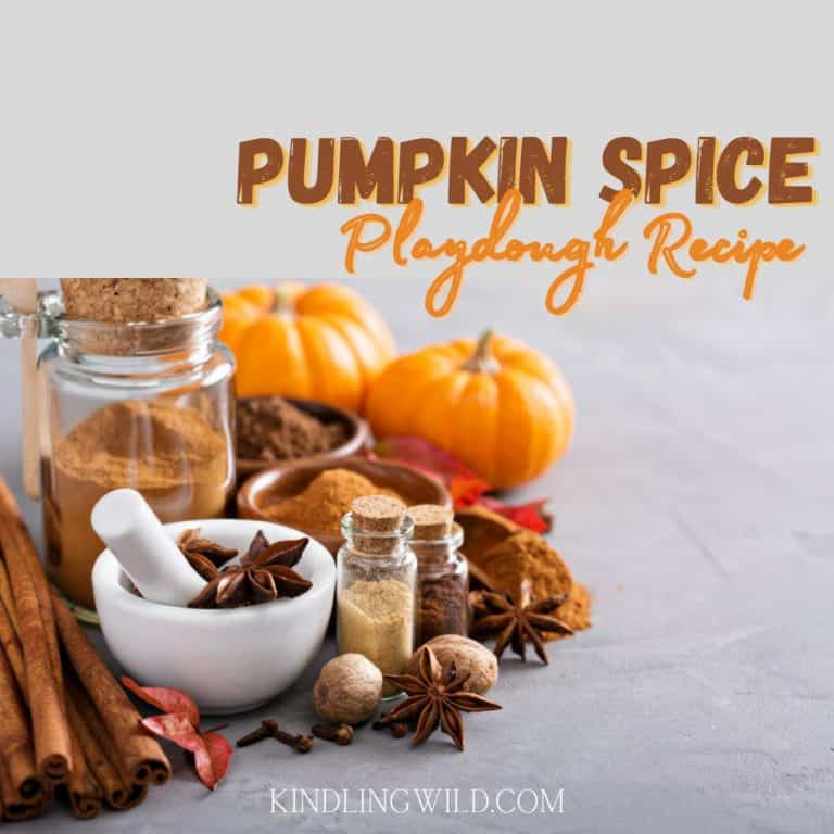 The Best Pumpkin Spice Playdough in 10 Minutes (or less!) - Kindling Wild