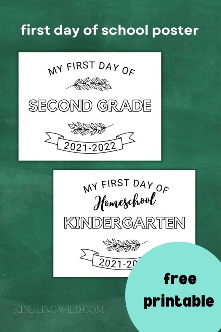 How to Take Your Own Adorable Back to School Photos - Free First Day of ...