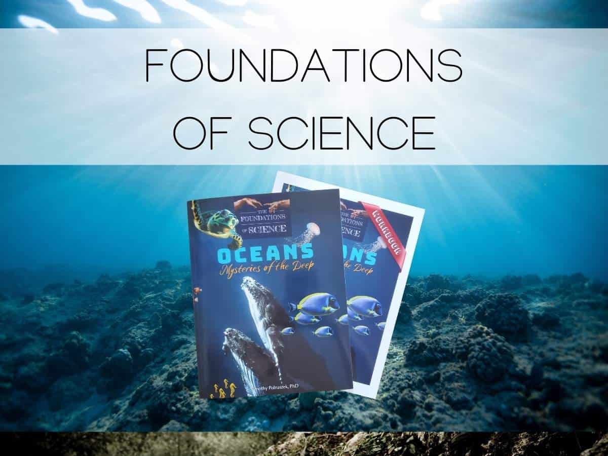 Absolutely Everything We Are Using for the Homeschool Year 2022-2023 ...