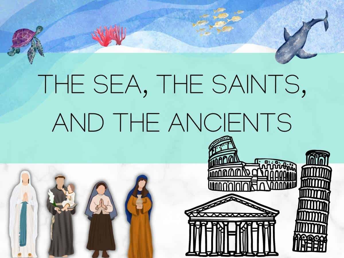 Absolutely Everything We Are Using for the Homeschool Year 2022-2023 ...