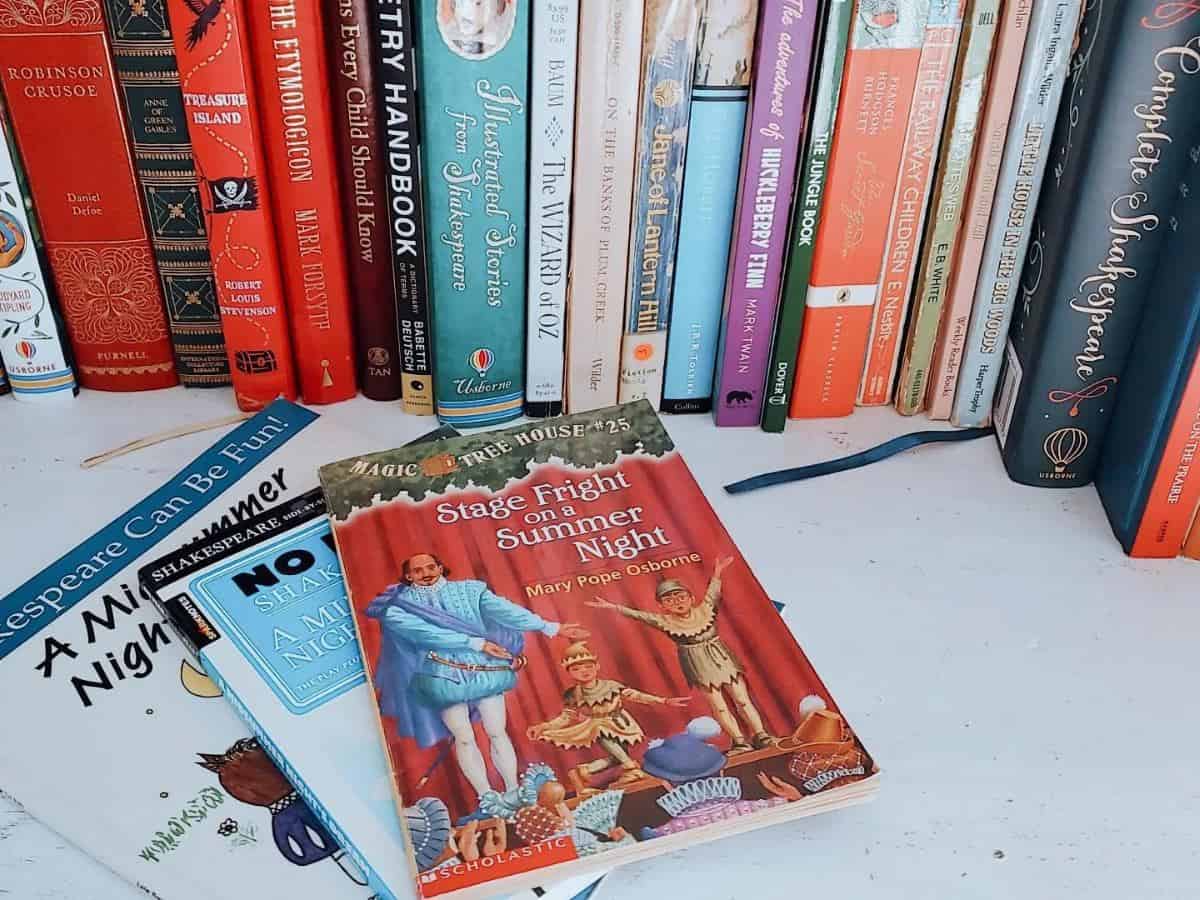 How to Curate a Home Library for Your Homeschool - Kindling Wild