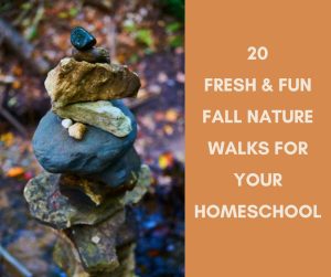 20 Simple and Creative Fall Nature Walk Ideas - Kindling Wild