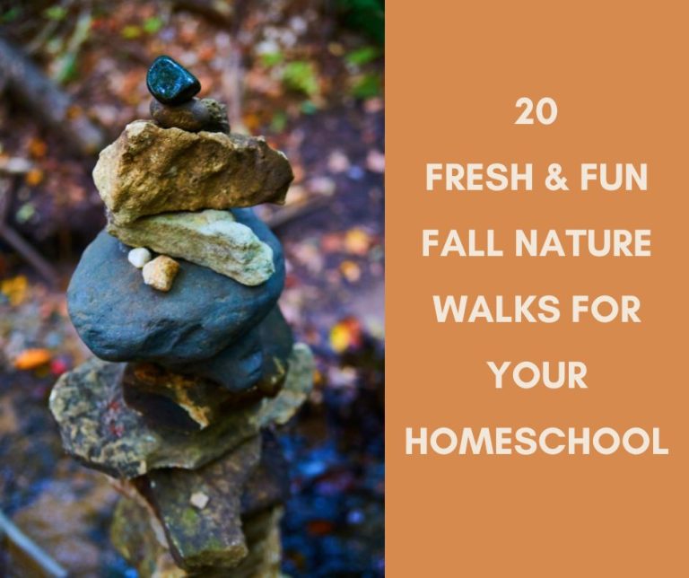 20 Simple and Creative Fall Nature Walk Ideas - Kindling Wild