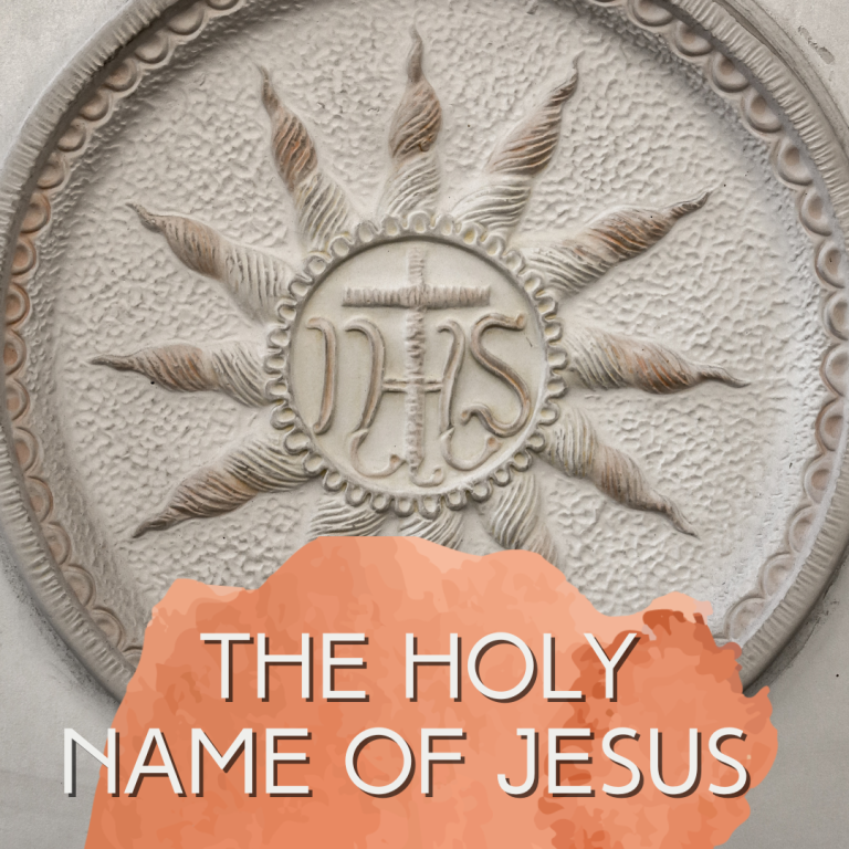 Kindling Wild - homeschool & homemaking