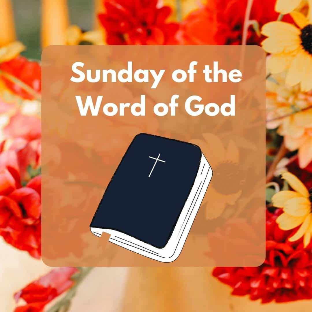 10 Ways to Celebrate Sunday of the Word of God - Kindling Wild