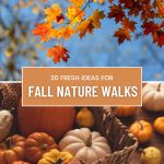 20 Simple and Creative Fall Nature Walk Ideas - Kindling Wild