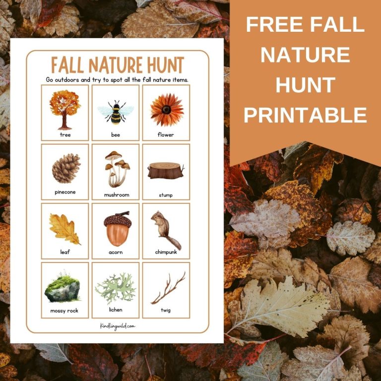 20 Simple and Creative Fall Nature Walk Ideas - Kindling Wild