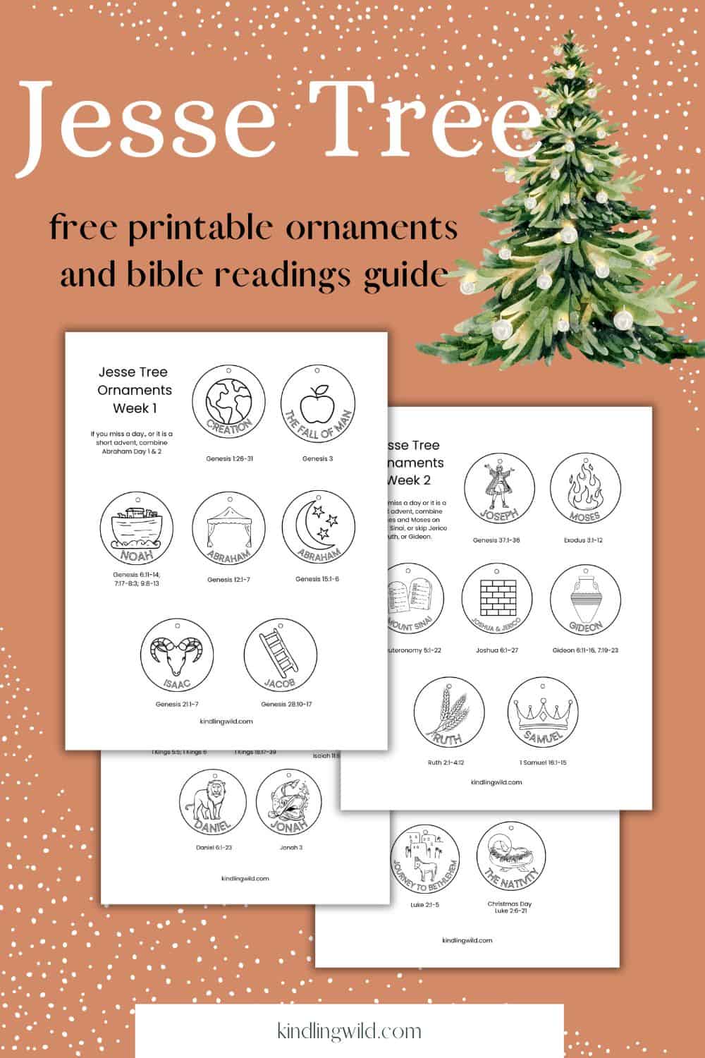 Jesse Tree Advent Tradition Free Printable Colouring - Kindling Wild