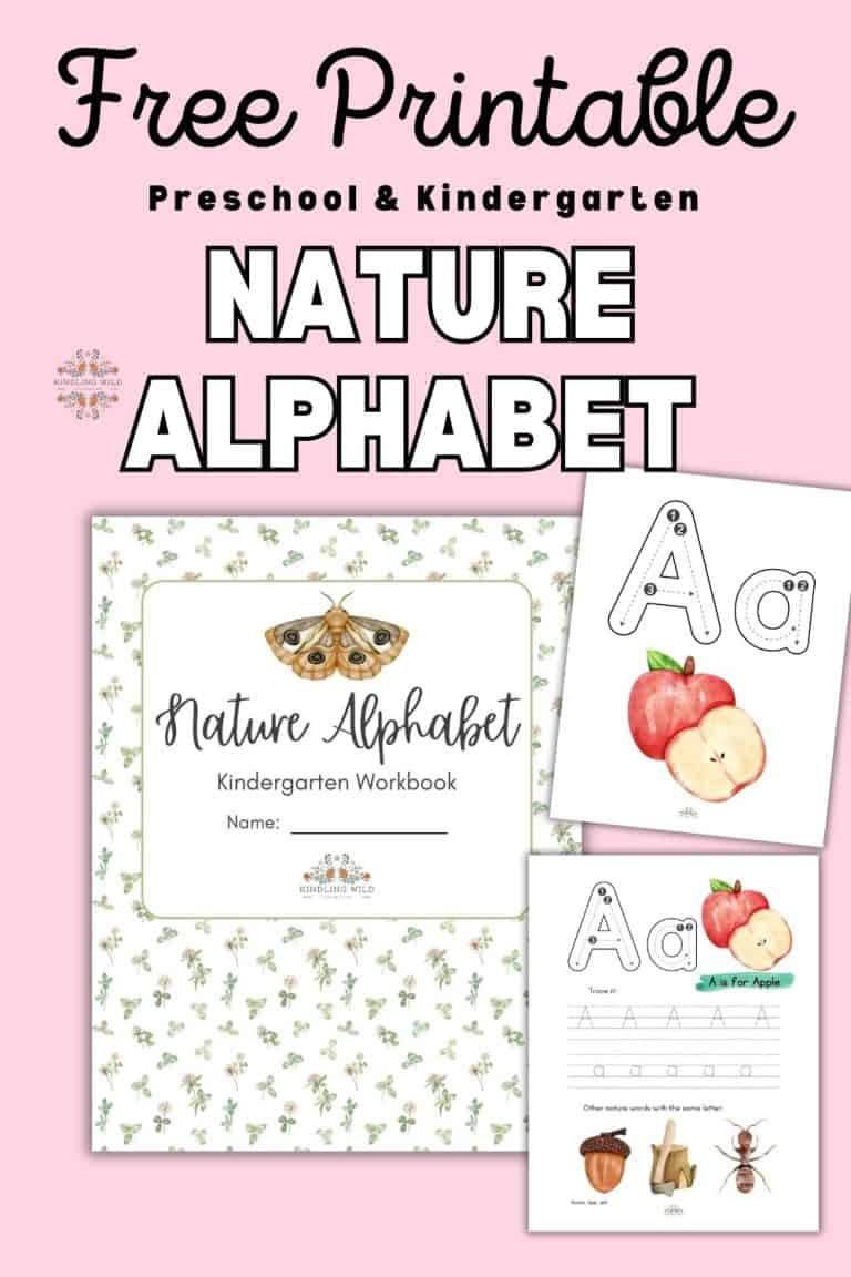 Nature-Themed Kindergarten Alphabet Worksheets - Kindling Wild