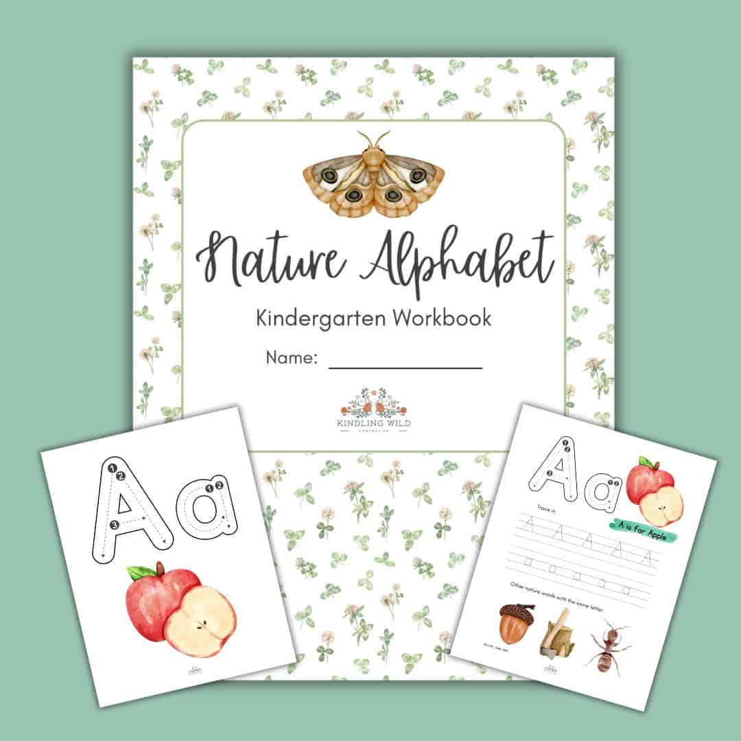 Kindling Wild - homeschool & homemaking